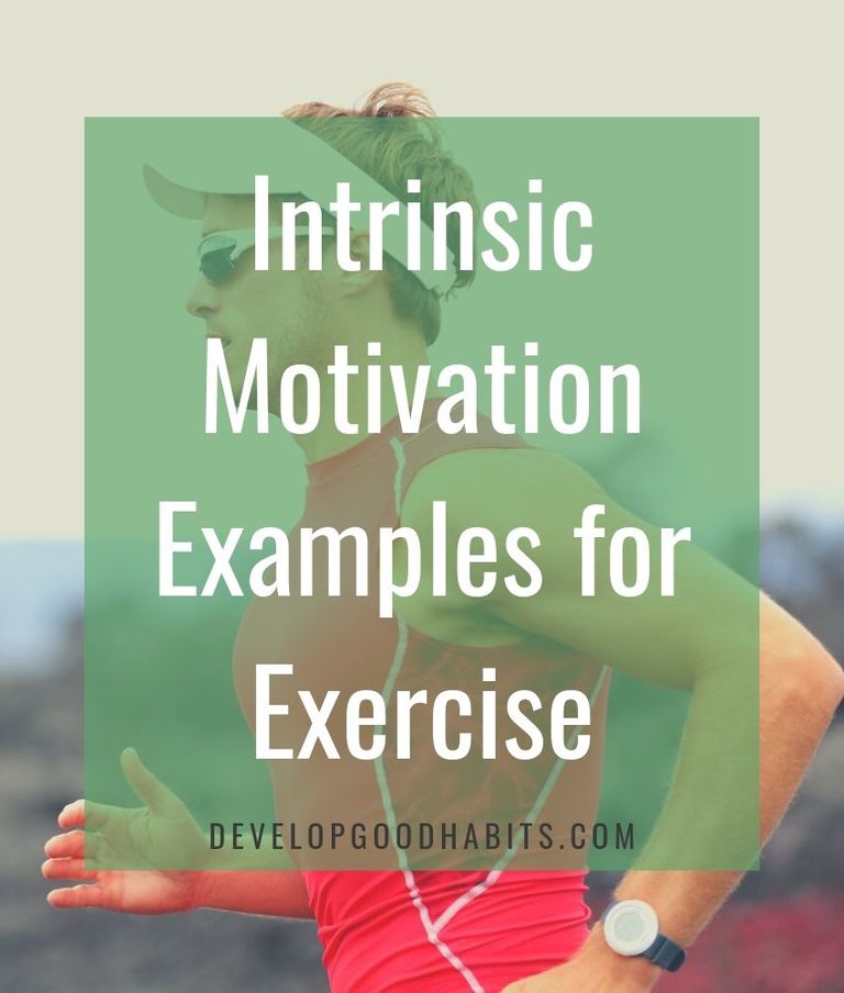 31 Intrinsic Motivation Examples That Drive You to Success | Develop ...