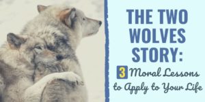 The Two Wolves Story: 3 Moral Lessons to Apply to Your Life | Develop ...