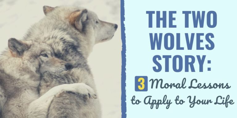 The Two Wolves Story: 3 Moral Lessons to Apply to Your Life | Develop ...