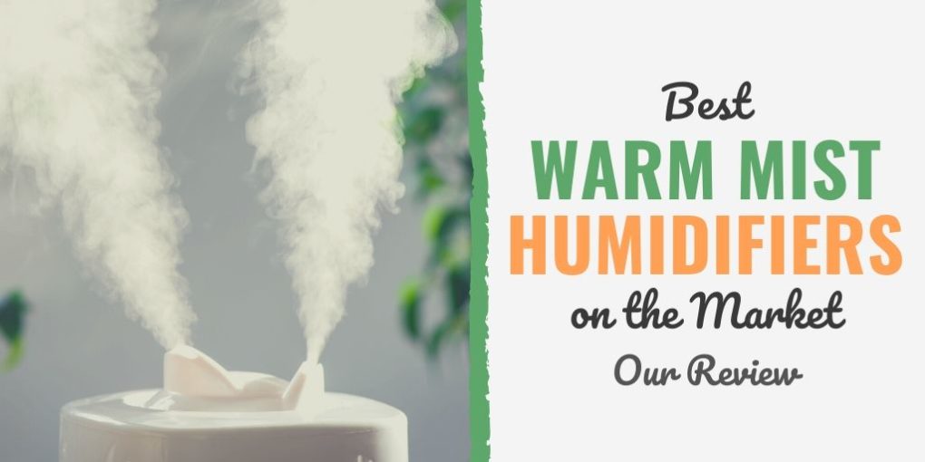 10 Best Warm Mist Humidifiers on the Market for 2023