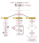 The Habit Loop: A Simple Guide on How Habits are Formed