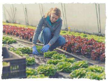 5 False Equivalence Examples to Know Before Your Next Argument ...