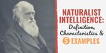 Naturalist Intelligence: Definition, Characteristics & 5 Examples
