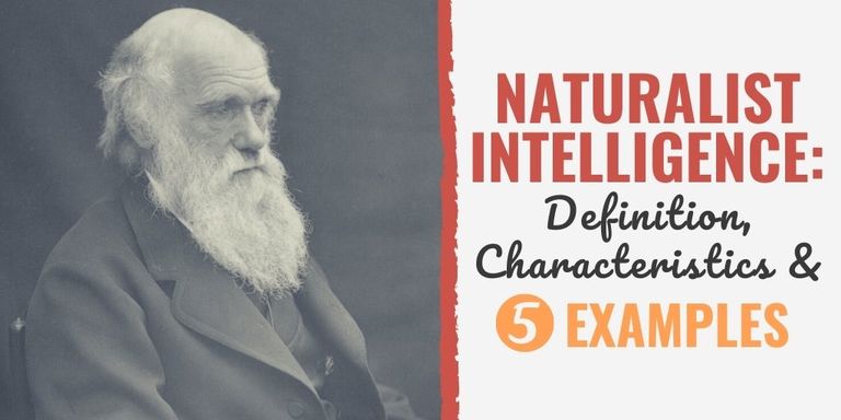 Naturalist Intelligence: Definition, Characteristics & 5 Examples
