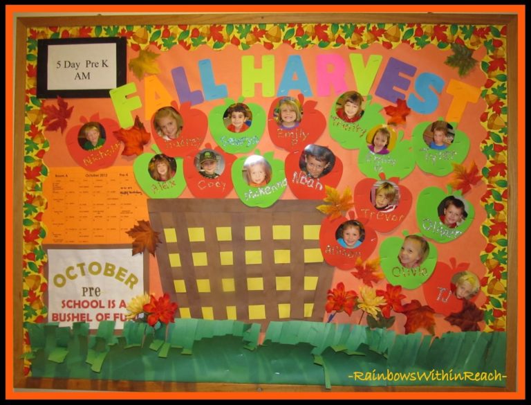 45 Creative Fall Bulletin Board Ideas for 2022