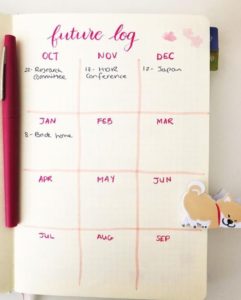 25 Bullet Journal Future Log Ideas and Examples