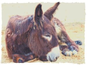 7 Integrity Stories with a Moral Lesson About Honesty | Develop Good Habits