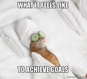 41 Goals Memes to Inspire a Successful 2024 | Develop Good Habits