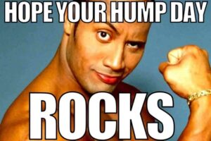 55 Funny Hump Day Memes to Get Through the Workweek | Develop Good Habits