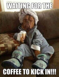 65 Funny Coffee Memes to Perk Up Your Day | Develop Good Habits