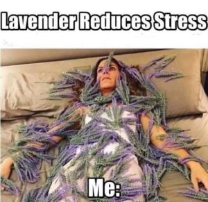 41 Funny Relaxing Memes to Help You Unwind | Develop Good Habits