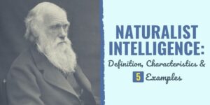 Naturalist Intelligence: Definition, Characteristics & 5 Examples ...